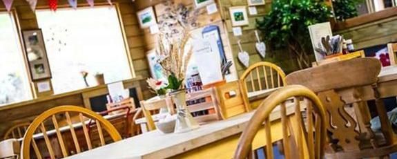Gift Vouchers - Ullacombe Farm Cafe & Shop