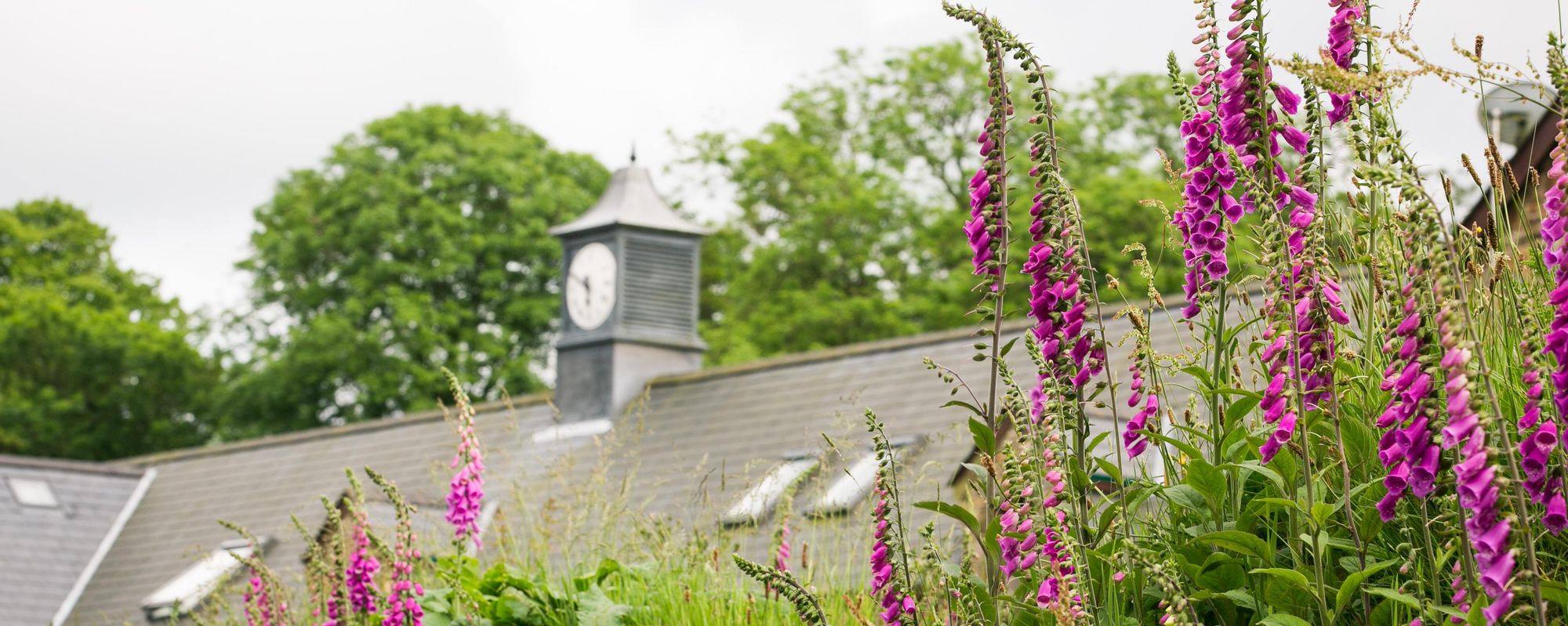 Gift Vouchers - Scolton Country Spa