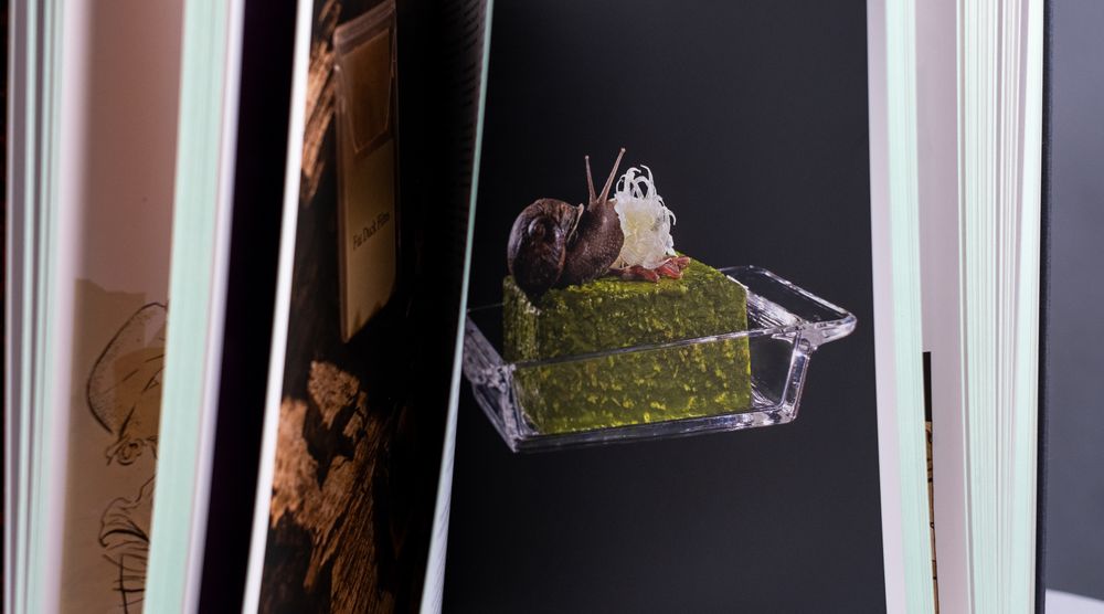 The Fat Duck Cookbook by Heston Blumenthal - inside a TFD tote bag ...