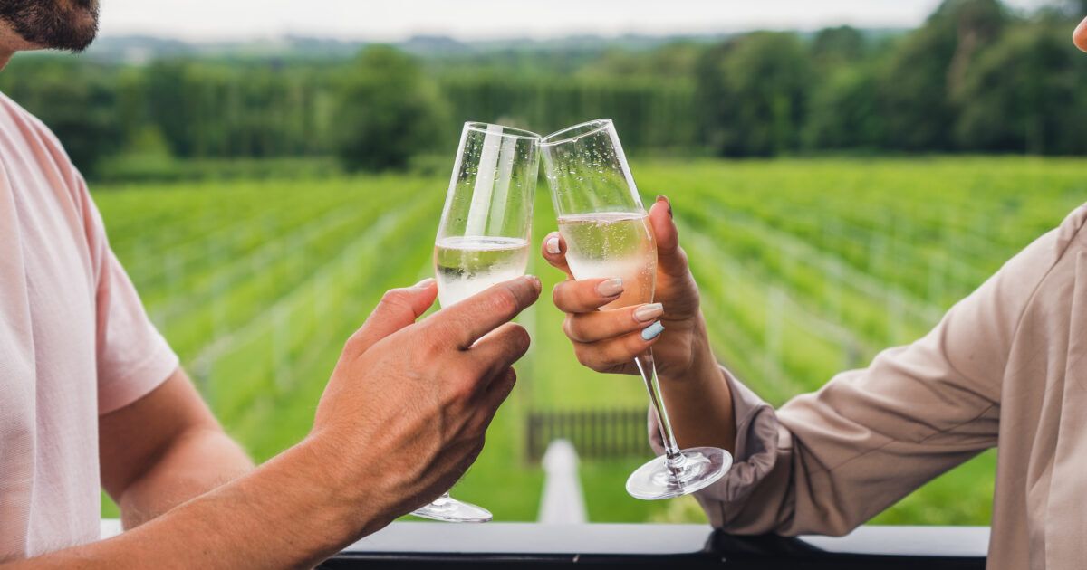 Wine & Dine Weekend Escape - Llanerch Vineyard