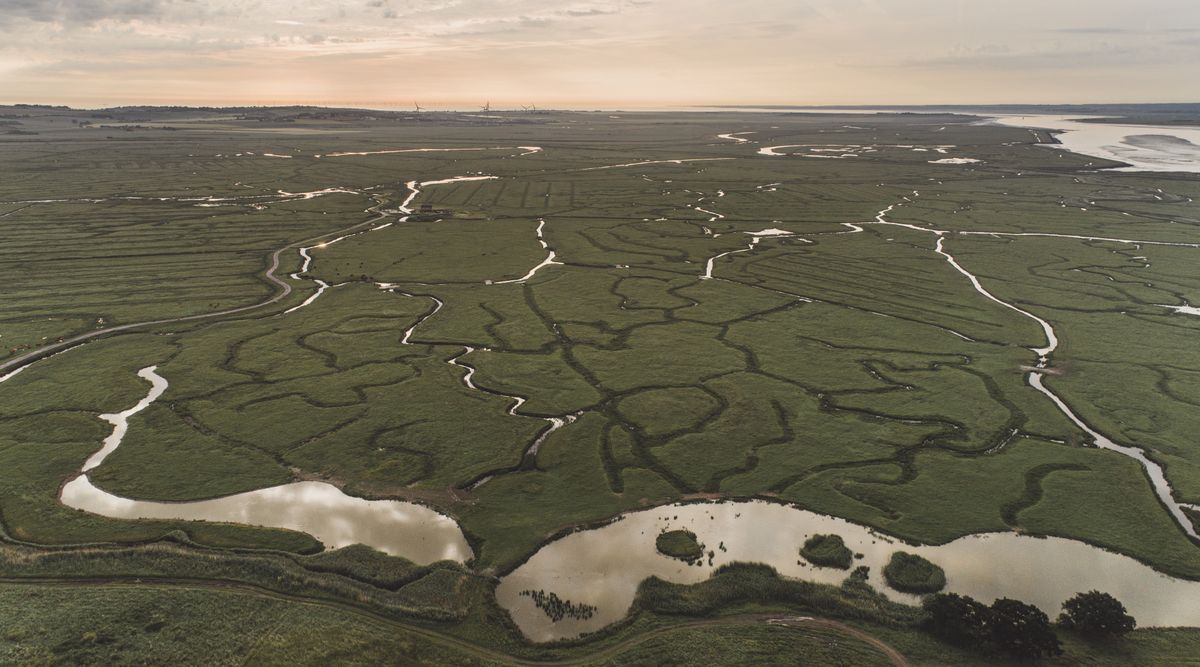 Day Visit Tickets to Elmley - Elmley Nature Reserve