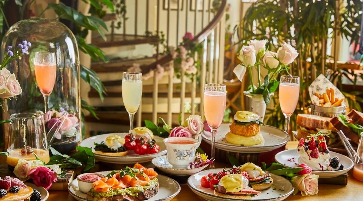 Mr Fogg's Botanical Treehouse Brunch - Mr Fogg's