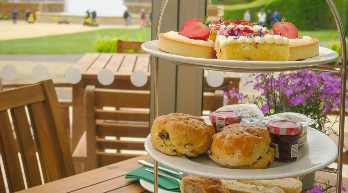 Admission to The Alnwick Garden and Afternoon Tea Experience