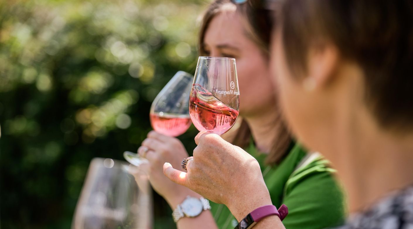 Llanerch Wine Tasting Experience | Fun, Guided Wine Tasting
