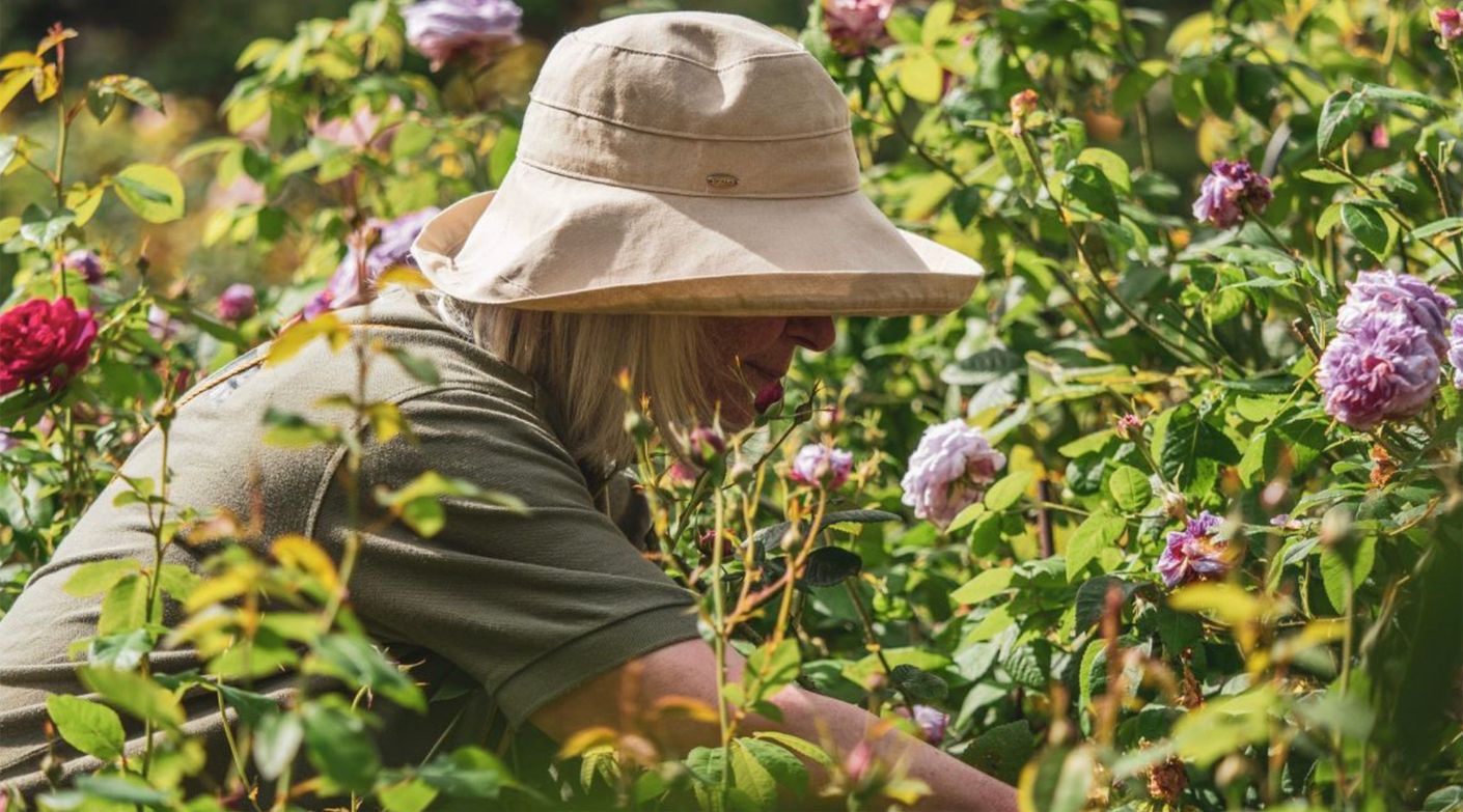 Be a Gardener for a Day Experience