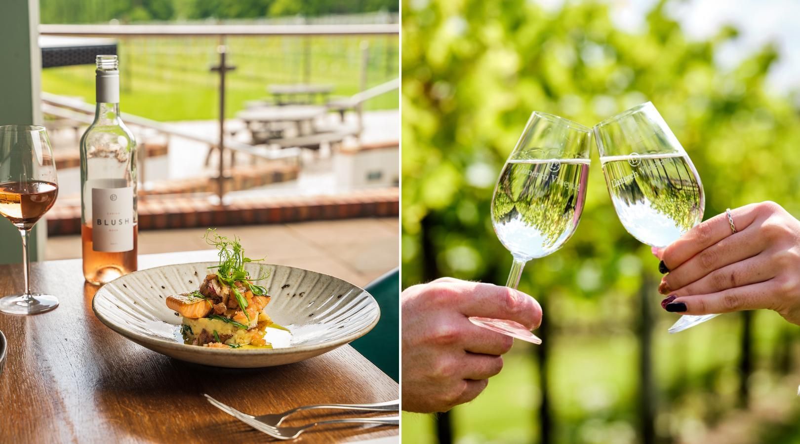 Wine Tasting & Dining Experience - Llanerch Vineyard