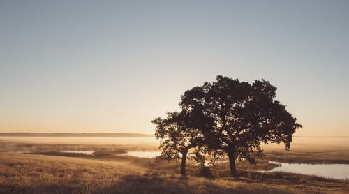 Day Visit Tickets to Elmley - Elmley Nature Reserve